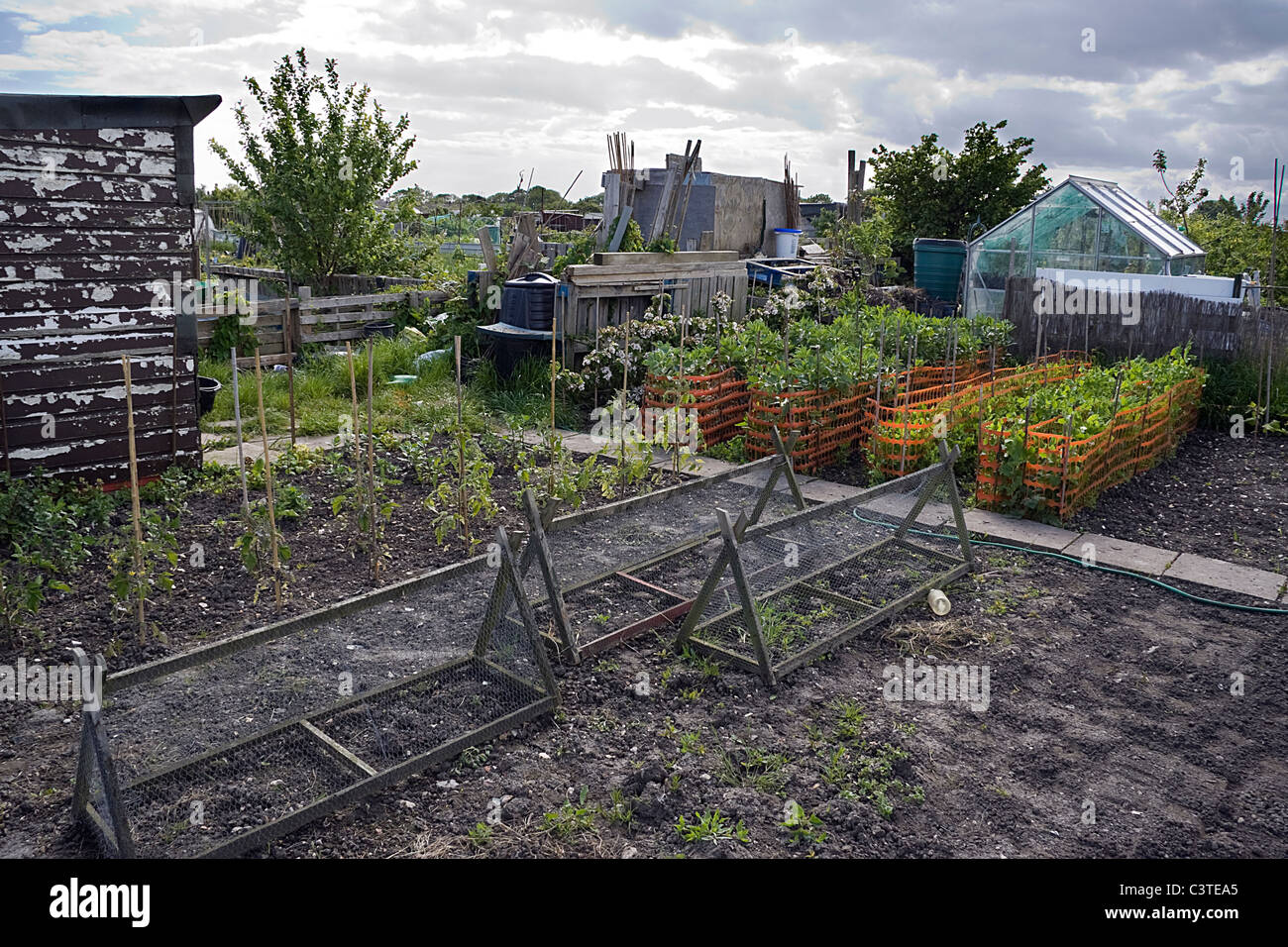 Allotment compost hi-res stock photography and images - Alamy