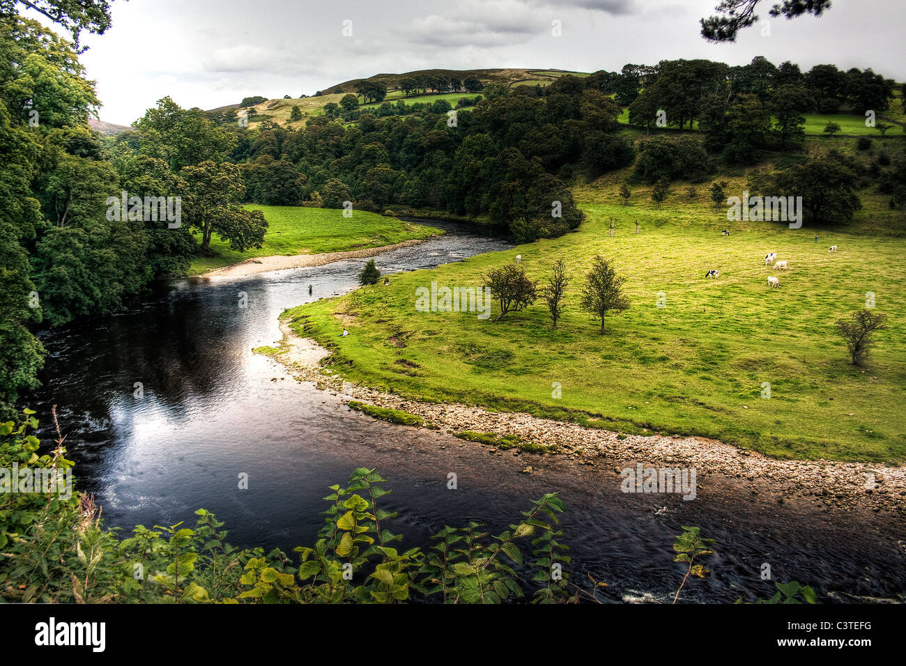 River Wharfe Yorkshire Dales Stock Photo - Alamy