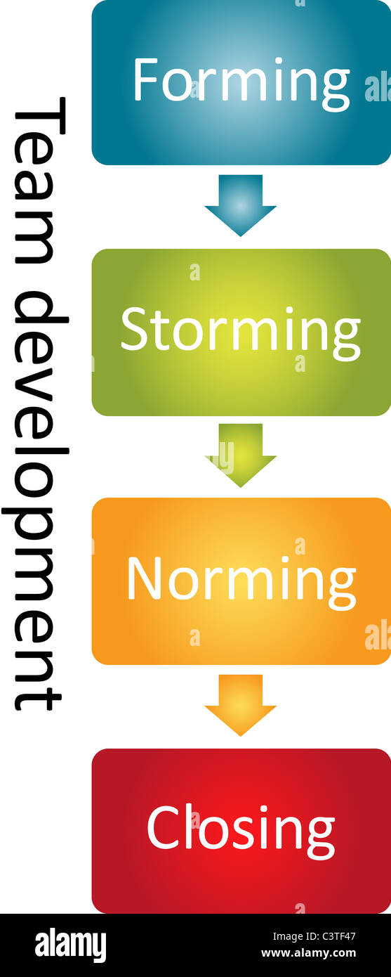 Team development business diagram management strategy concept chart ...