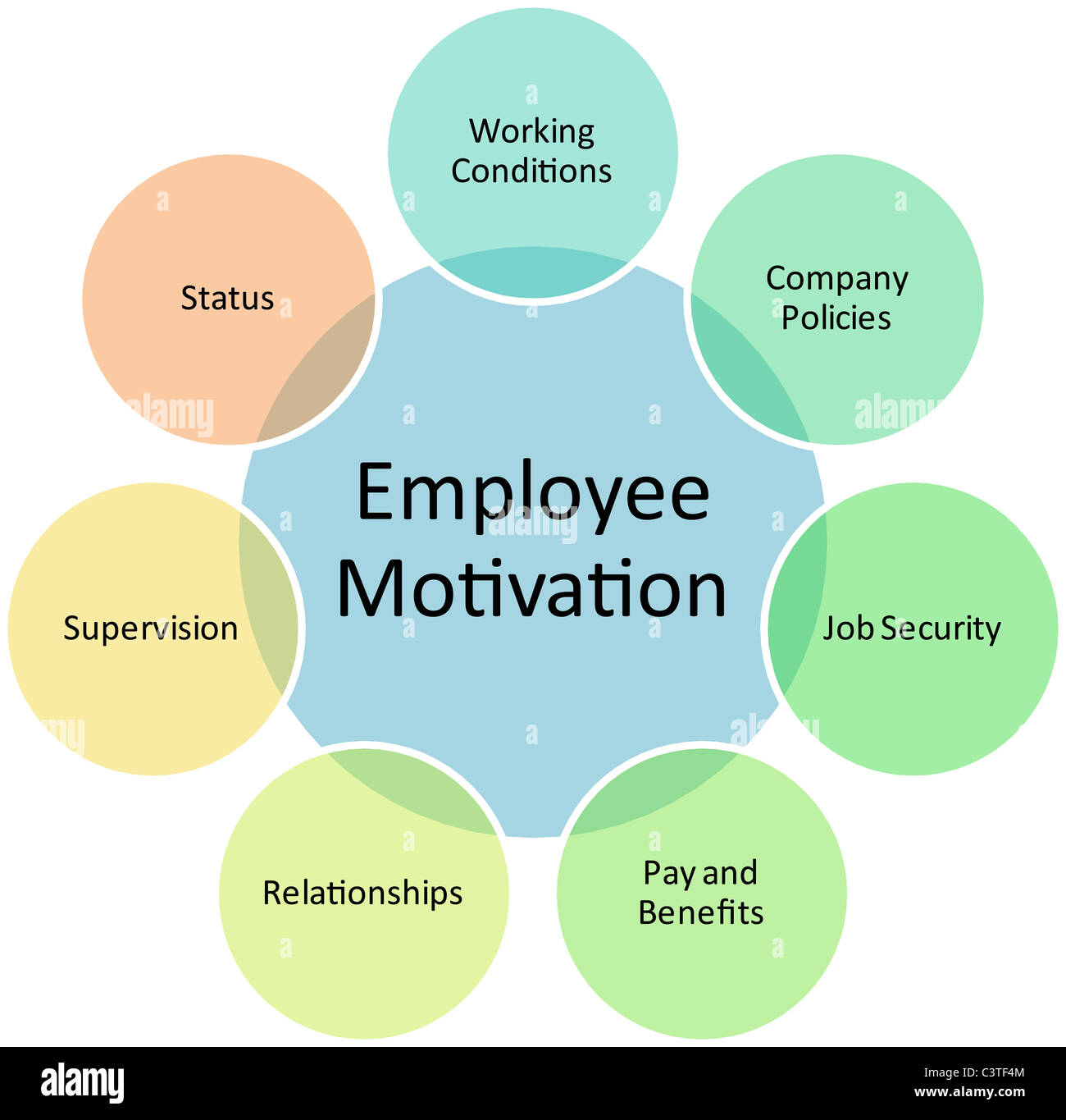 Employee motivation business diagram management strategy concept chart ...