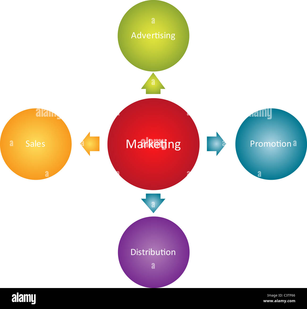 Marketing Components Business Diagram Management Strategy Concept Chart