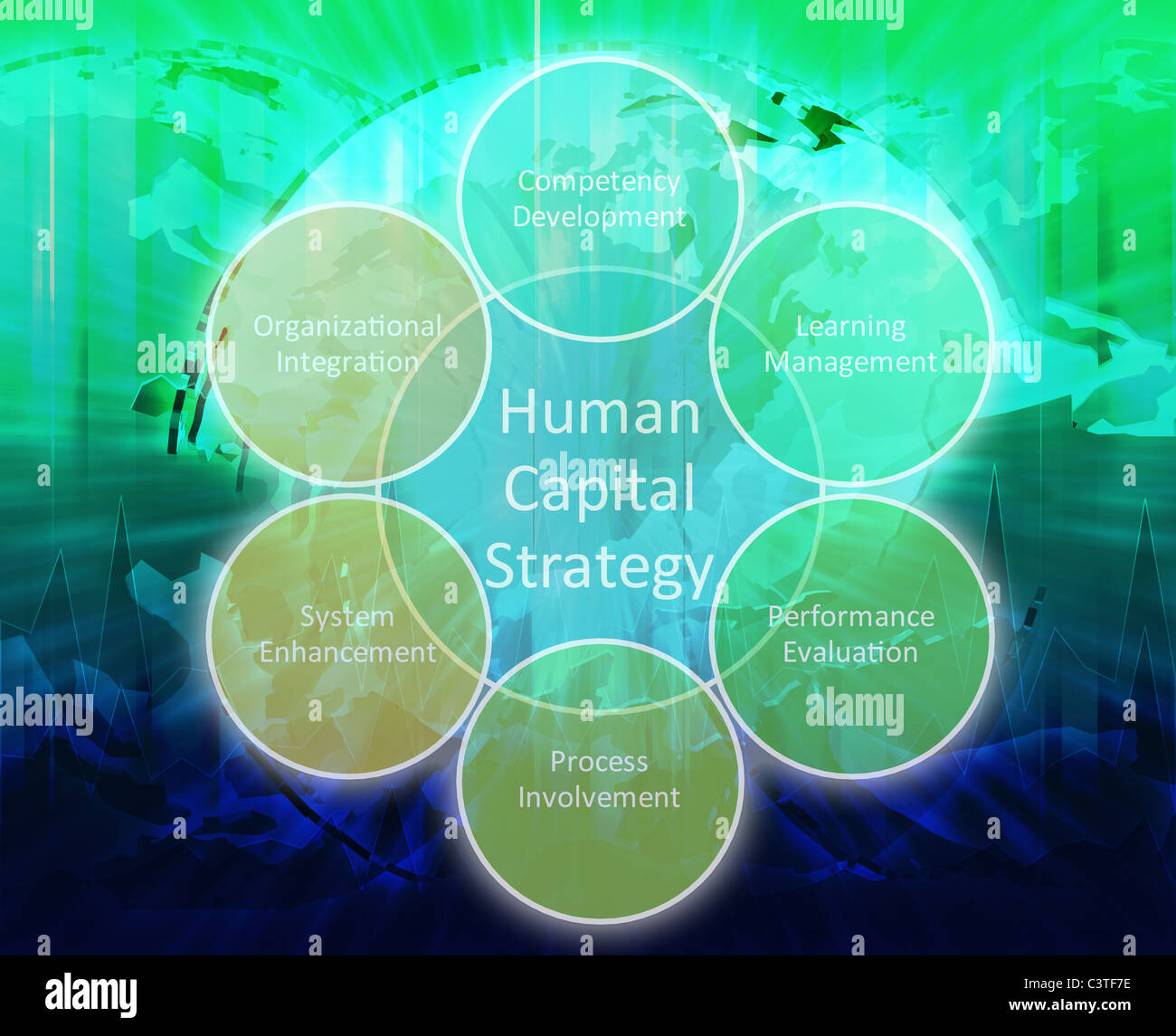 Human Capital Business Diagram Management Strategy Concept Chart