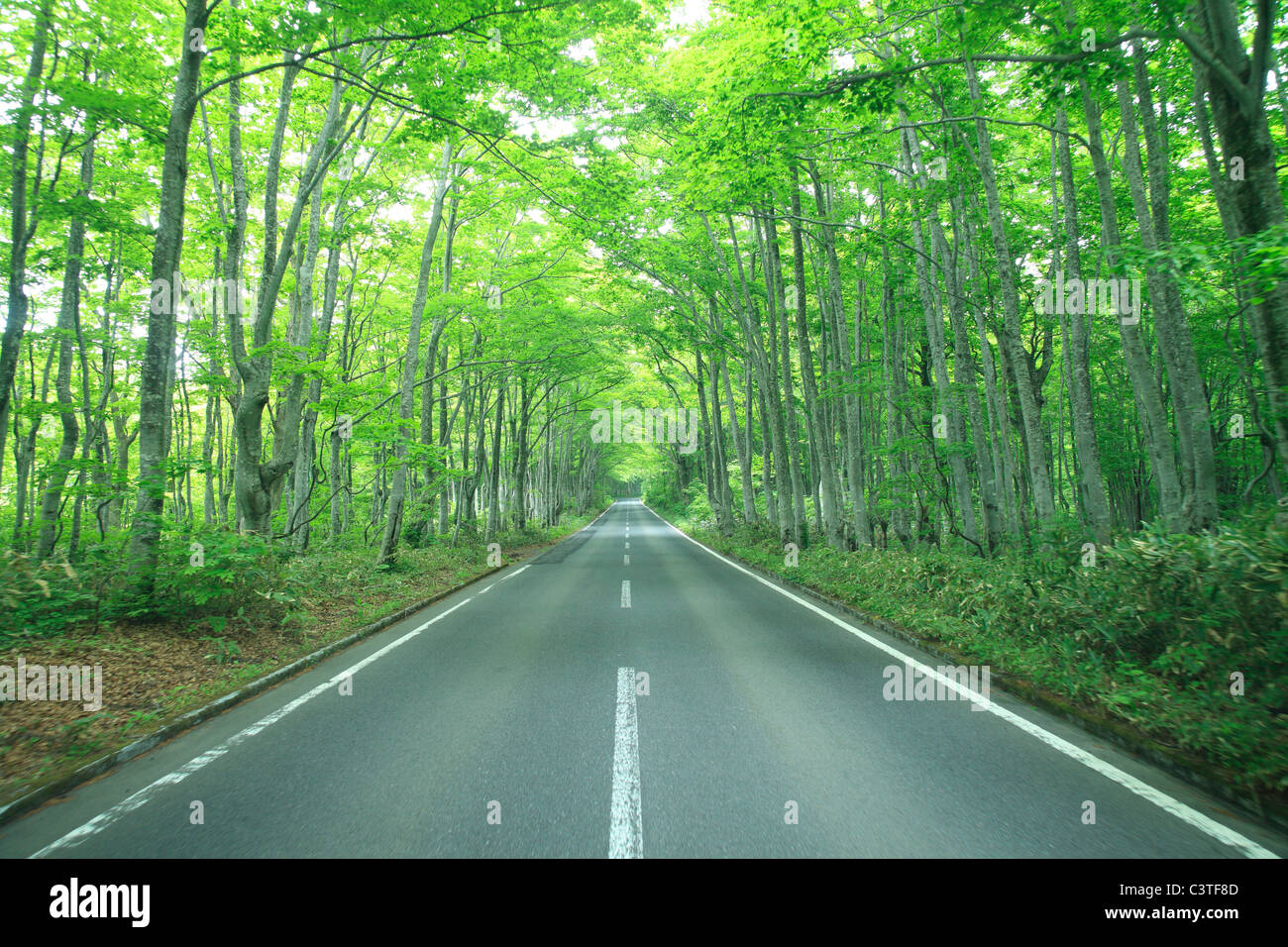 Direction of trave hi-res stock photography and images - Alamy