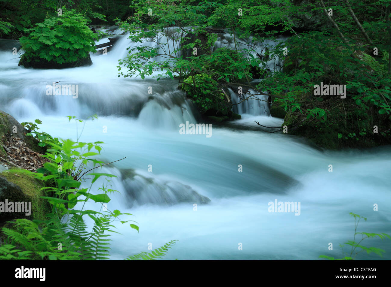 Free spring water hi-res stock photography and images - Alamy