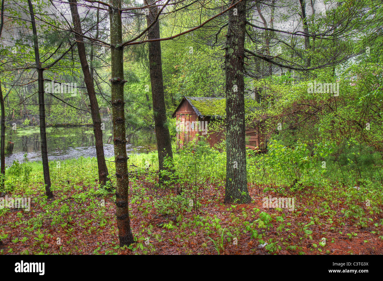 Swamp shack hi-res stock photography and images - Alamy