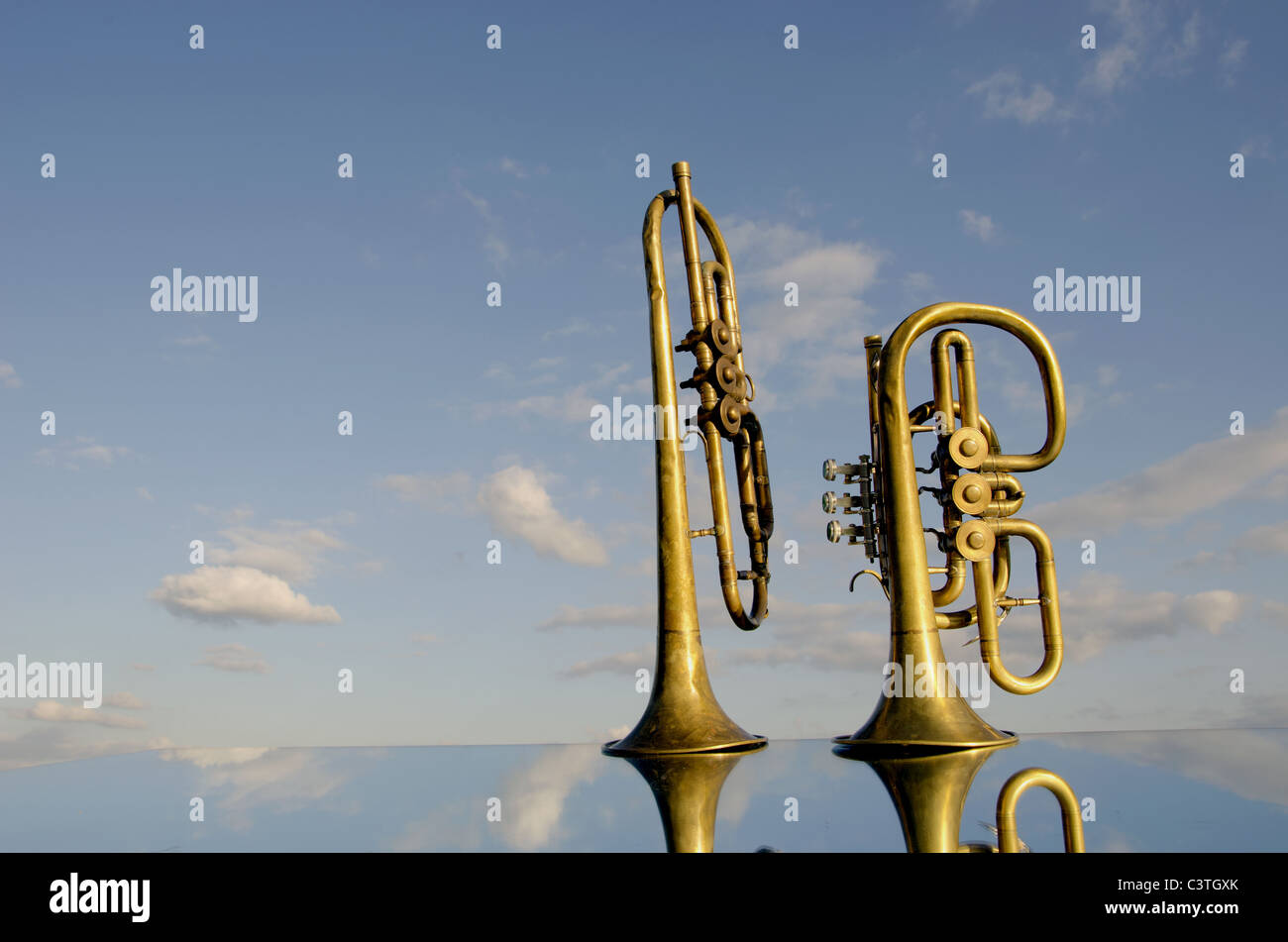 Musical wind instrument hi-res stock photography and images - Alamy