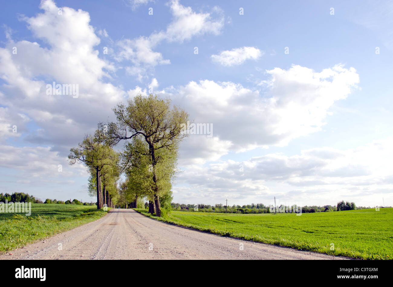 country road landscape with spring tree and clouds Stock Photo - Alamy