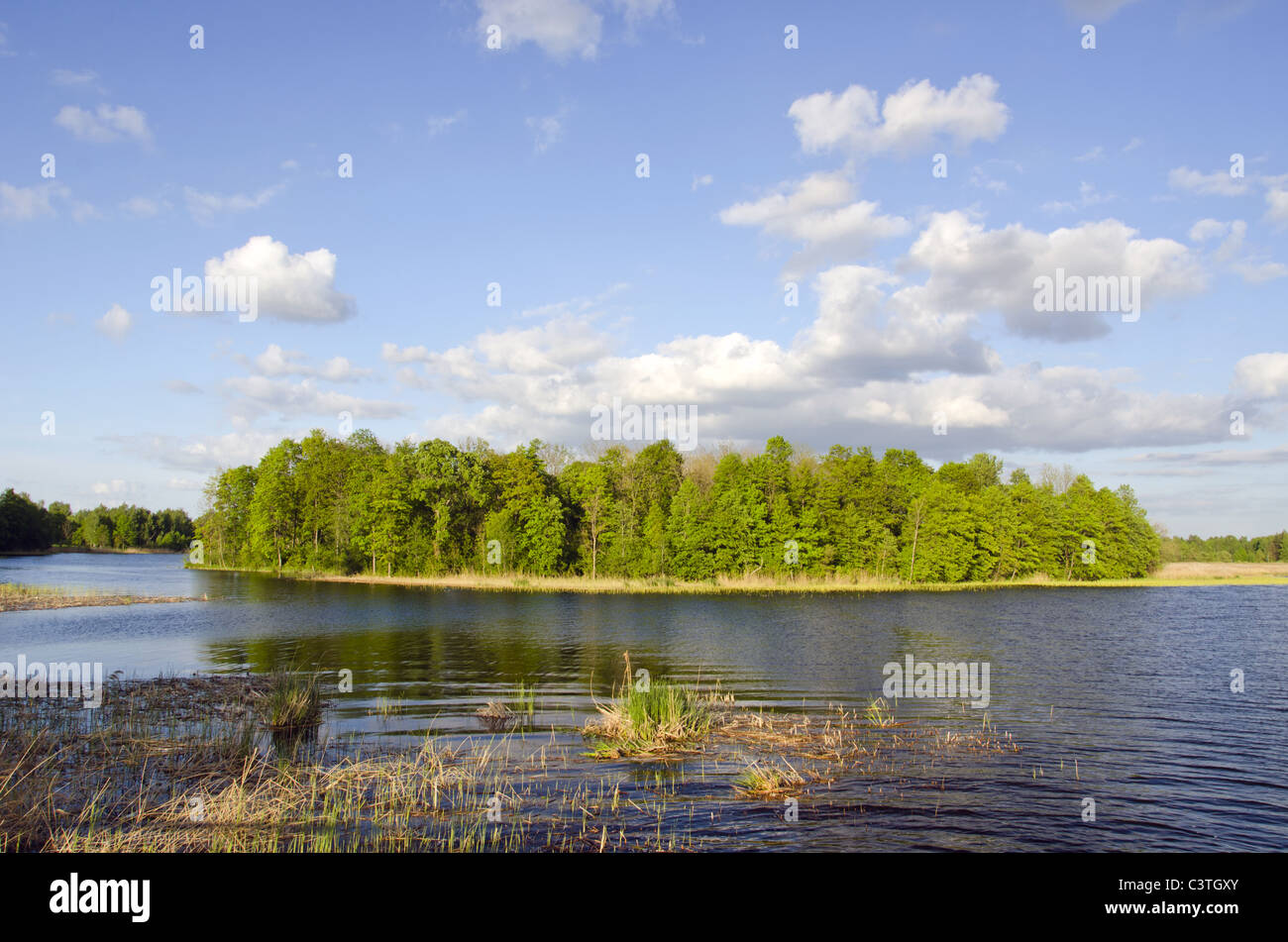 little island in the spring lake and clouds Stock Photo - Alamy