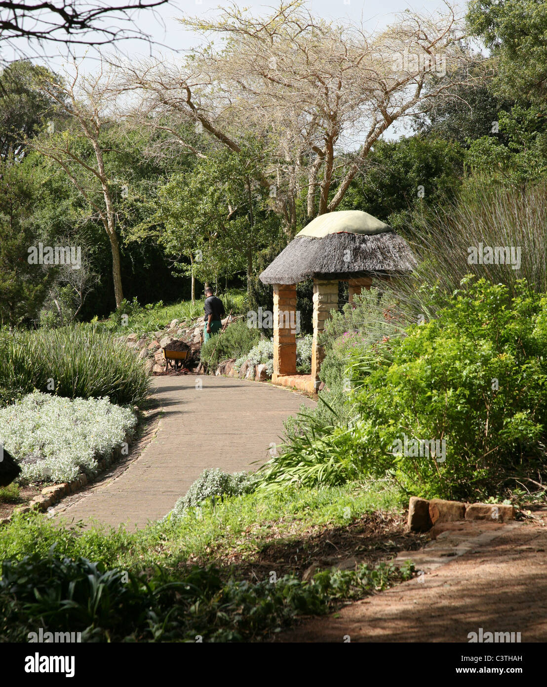 Kirstenbosch National Botanical gardens Cape Town South Africa Stock ...
