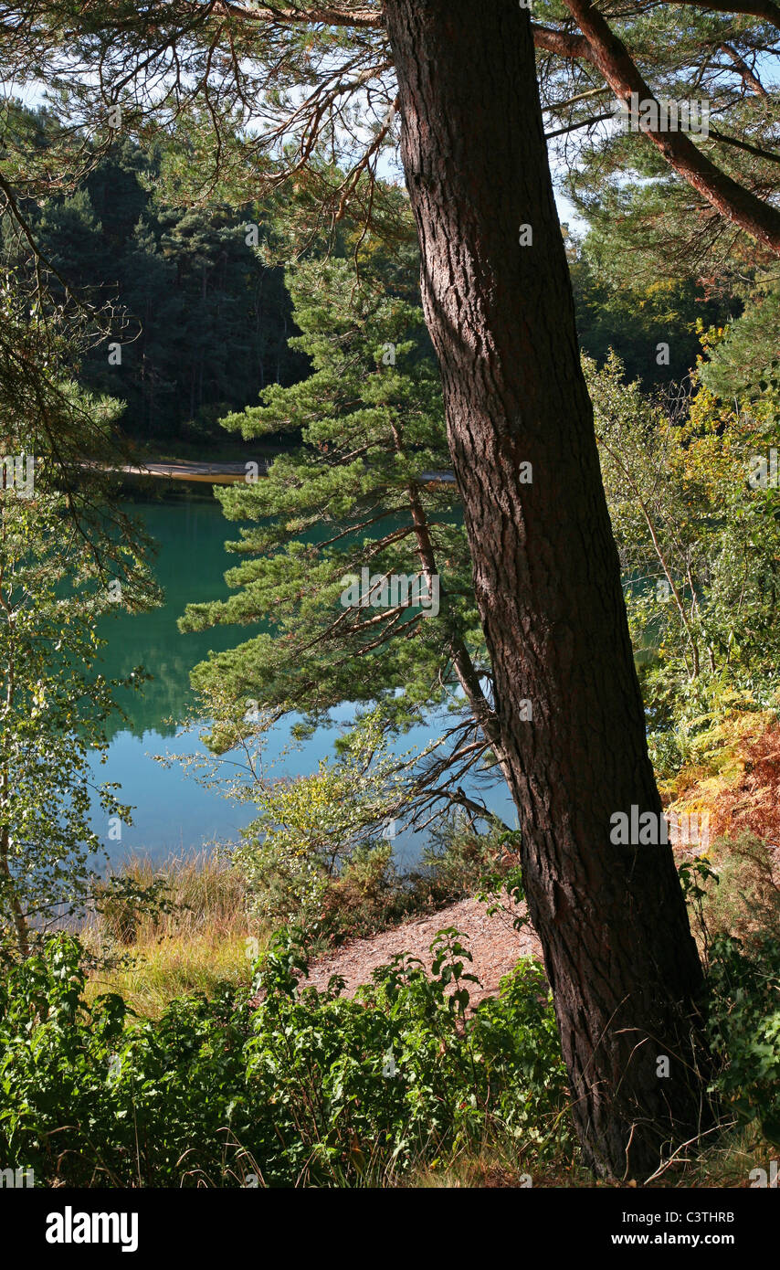 Blue Pool - Colourful lake in the Furzebrook Estate on site of a ...