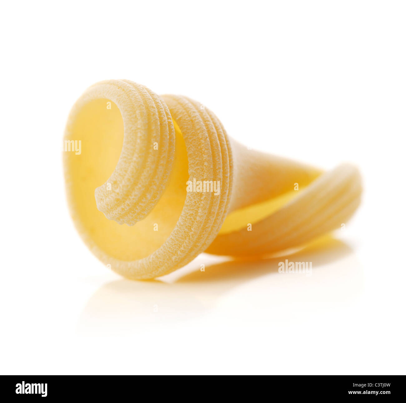 Dried sconcigli seashell pasta shape isolated on white with reflection ...