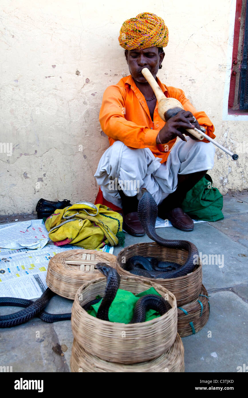 Snake charmer, Jaipur, Rajasthan, India, Asia Stock Photo - Alamy