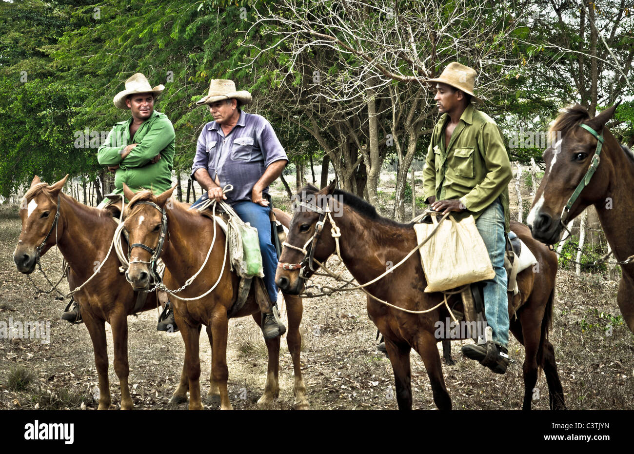 Cuban cowboys on horses in rural country near Trinidad Cuba Stock Photo ...