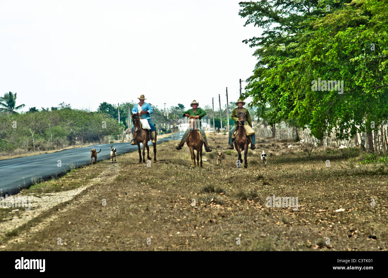 Cuban cowboys on horses in rural country near Trinidad Cuba Stock Photo ...