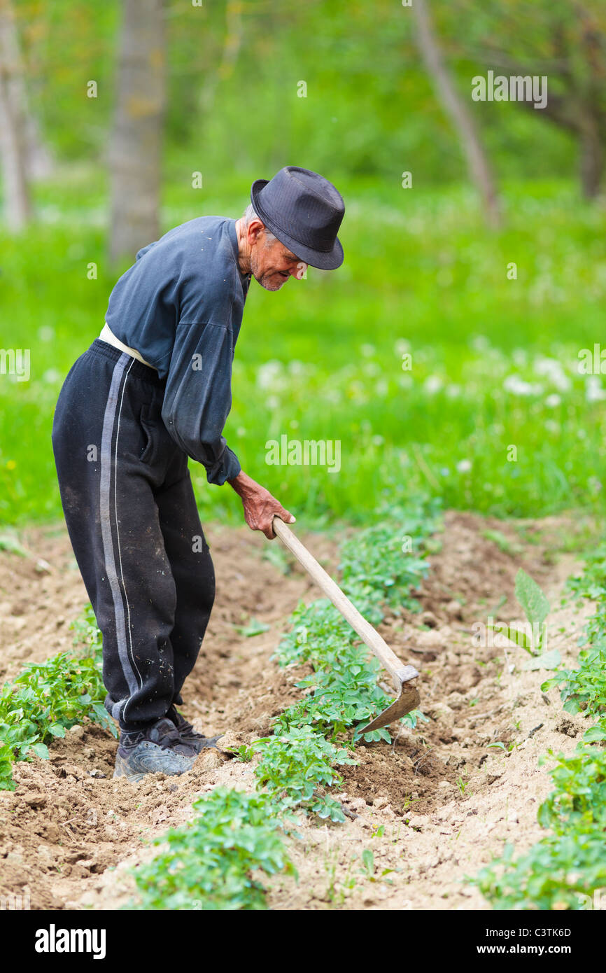 Peasant farmer digging hi-res stock photography and images - Alamy