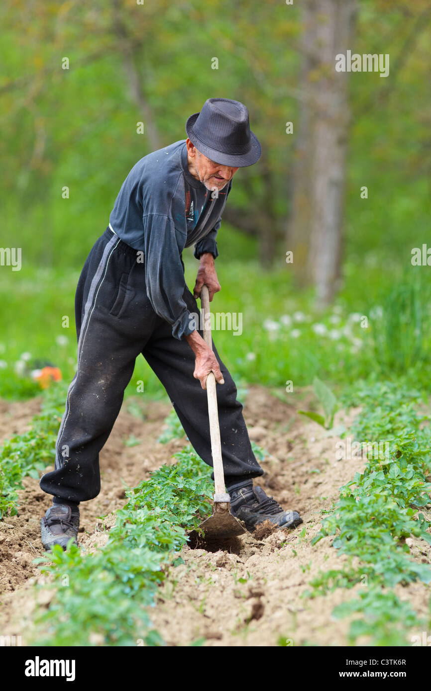Peasant farmer digging hi-res stock photography and images - Alamy
