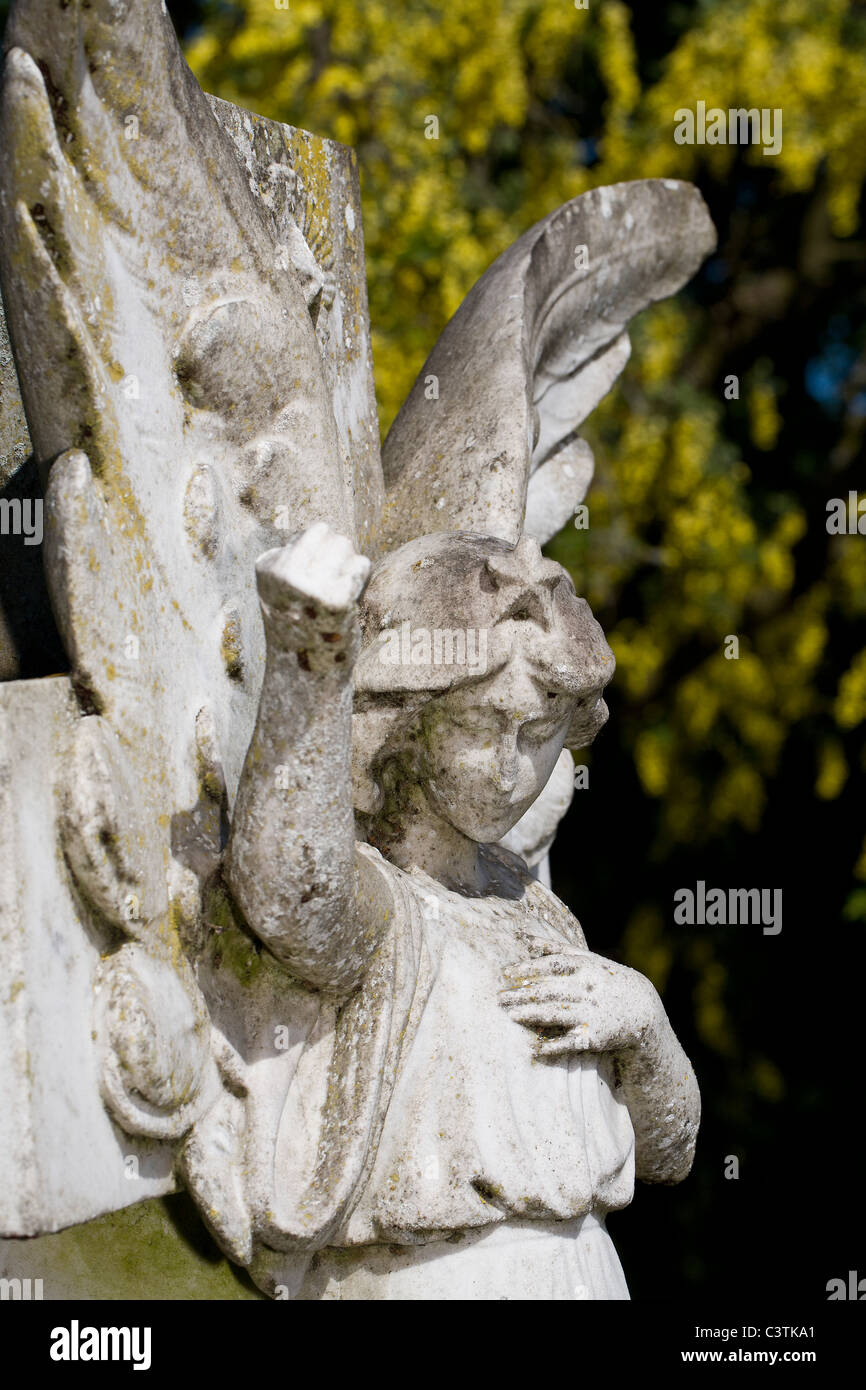 Winged angel sculpture in cemetery in Norwich, Norfolk, UK Stock Photo ...