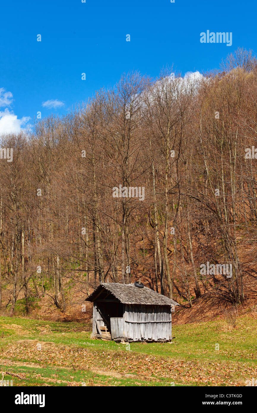Landscape with a wooden old shack near forest Stock Photo - Alamy