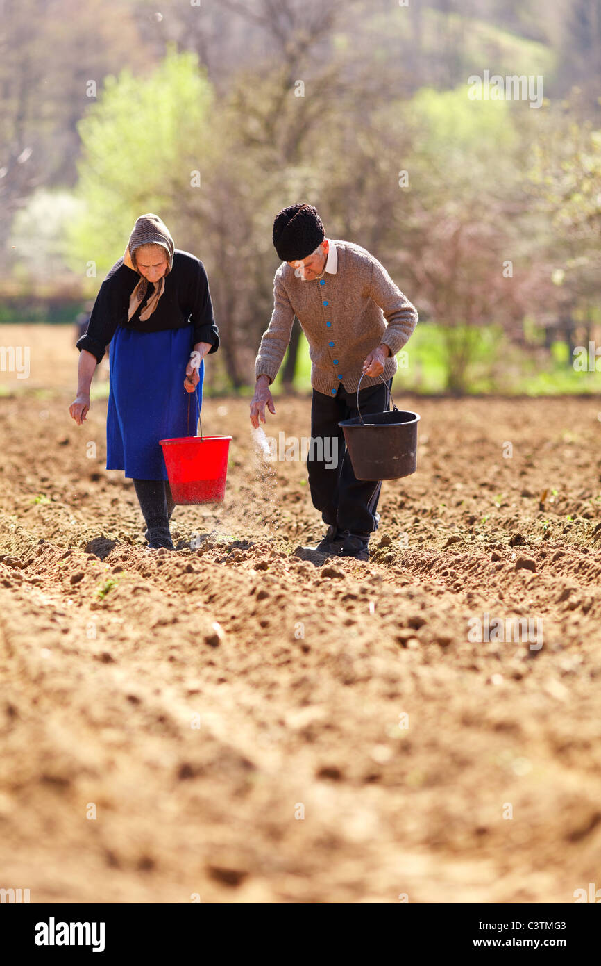 Farmers planting trees hi-res stock photography and images - Alamy