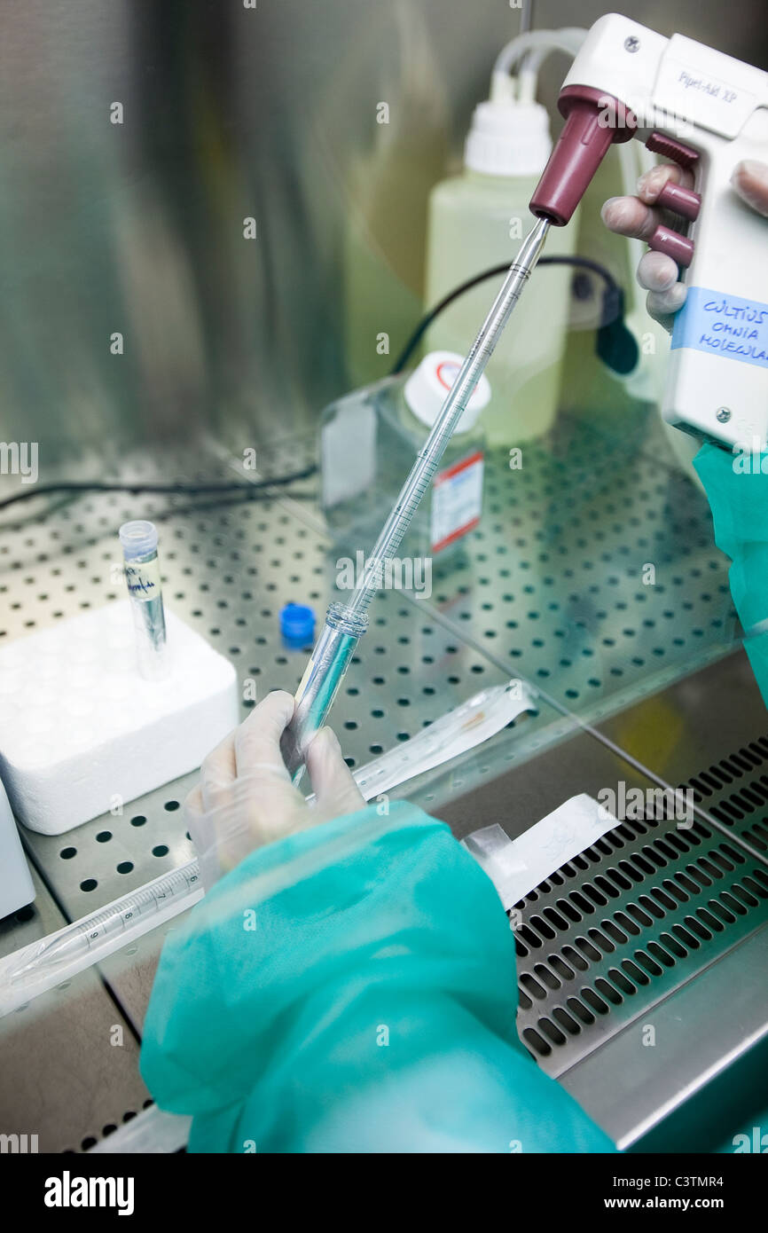 Scientific manipulating a test tube in a laboratory Stock Photo - Alamy