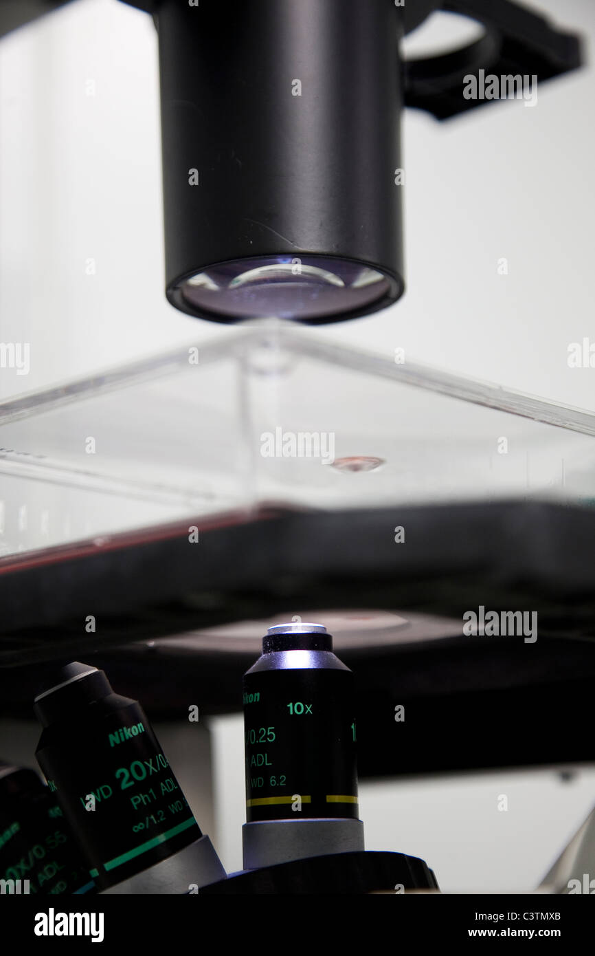 Lenses of a microscope in a laboratory Stock Photo - Alamy