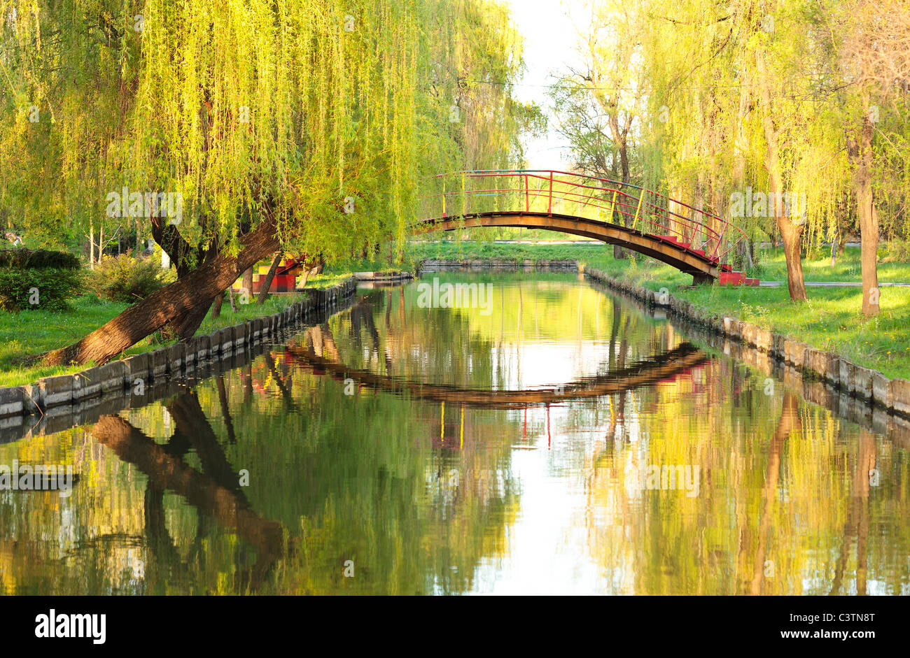 Arched red bridge in a park with willows and water Stock Photo - Alamy