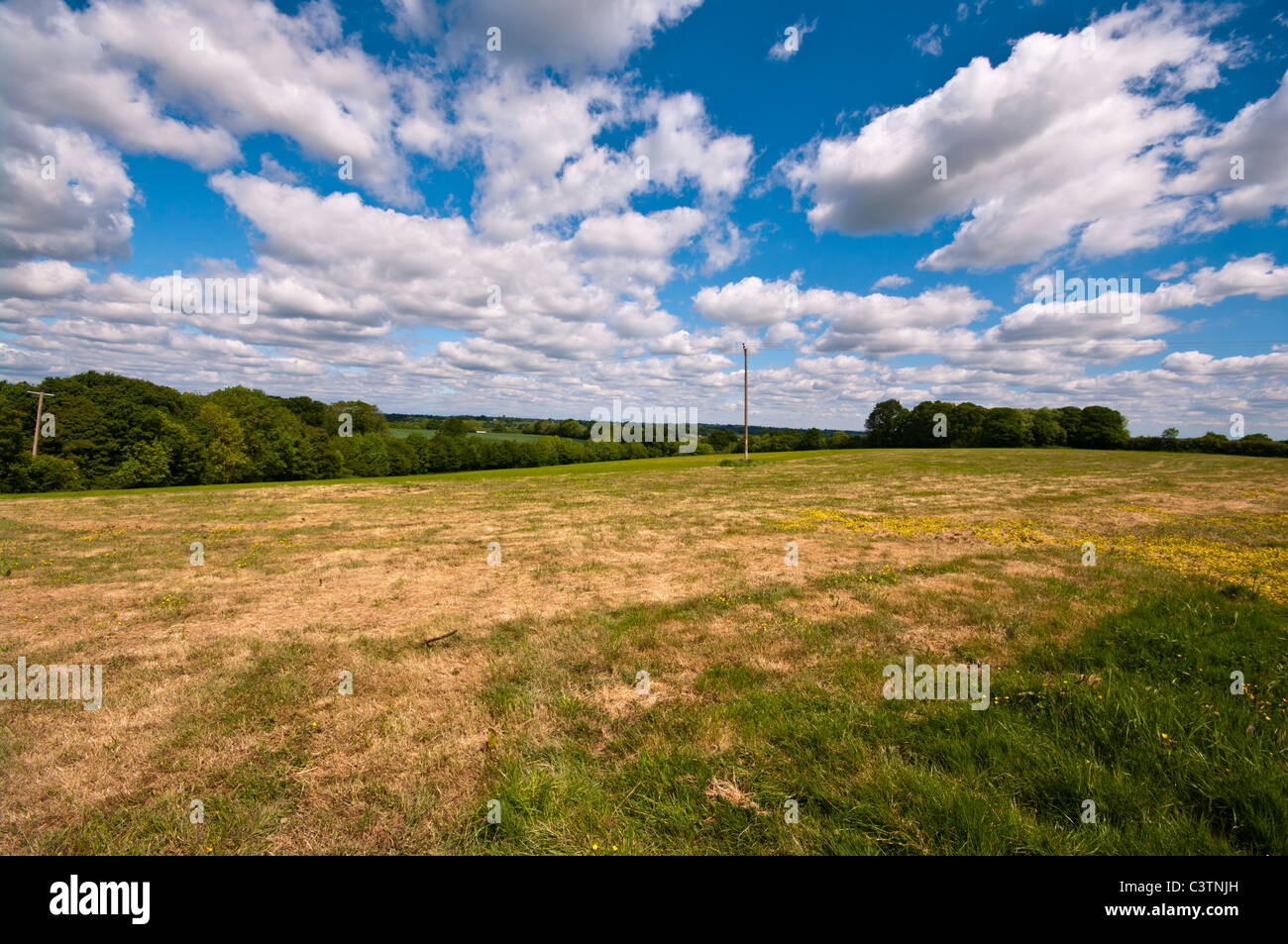 View Over The Kent and East Sussex Countryside England Stock Photo - Alamy