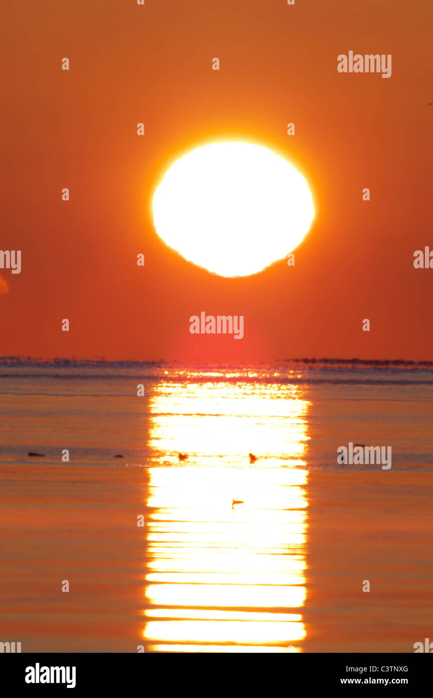 Sun Rising Over Sea Stock Photo - Alamy