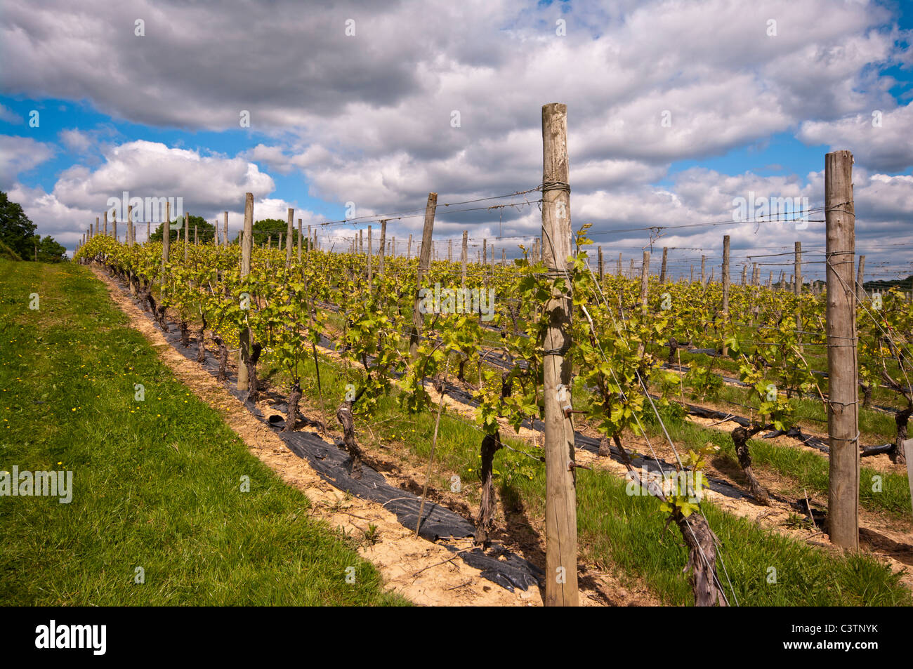 Sandhurst Kent England High Resolution Stock Photography and Images - Alamy