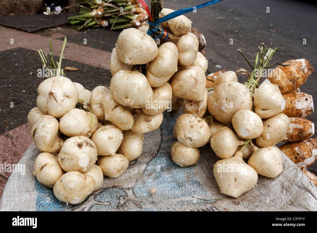 Bengkoang hi-res stock photography and images - Alamy