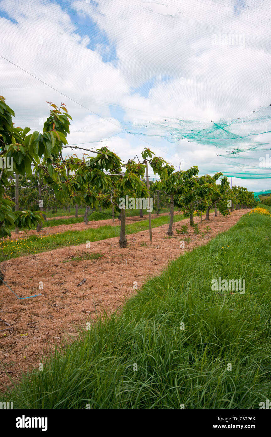 Sandhurst Kent England High Resolution Stock Photography and Images - Alamy