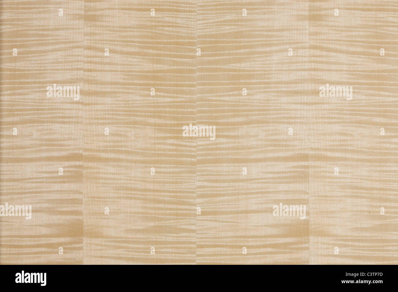 White sycamore hi-res stock photography and images - Alamy