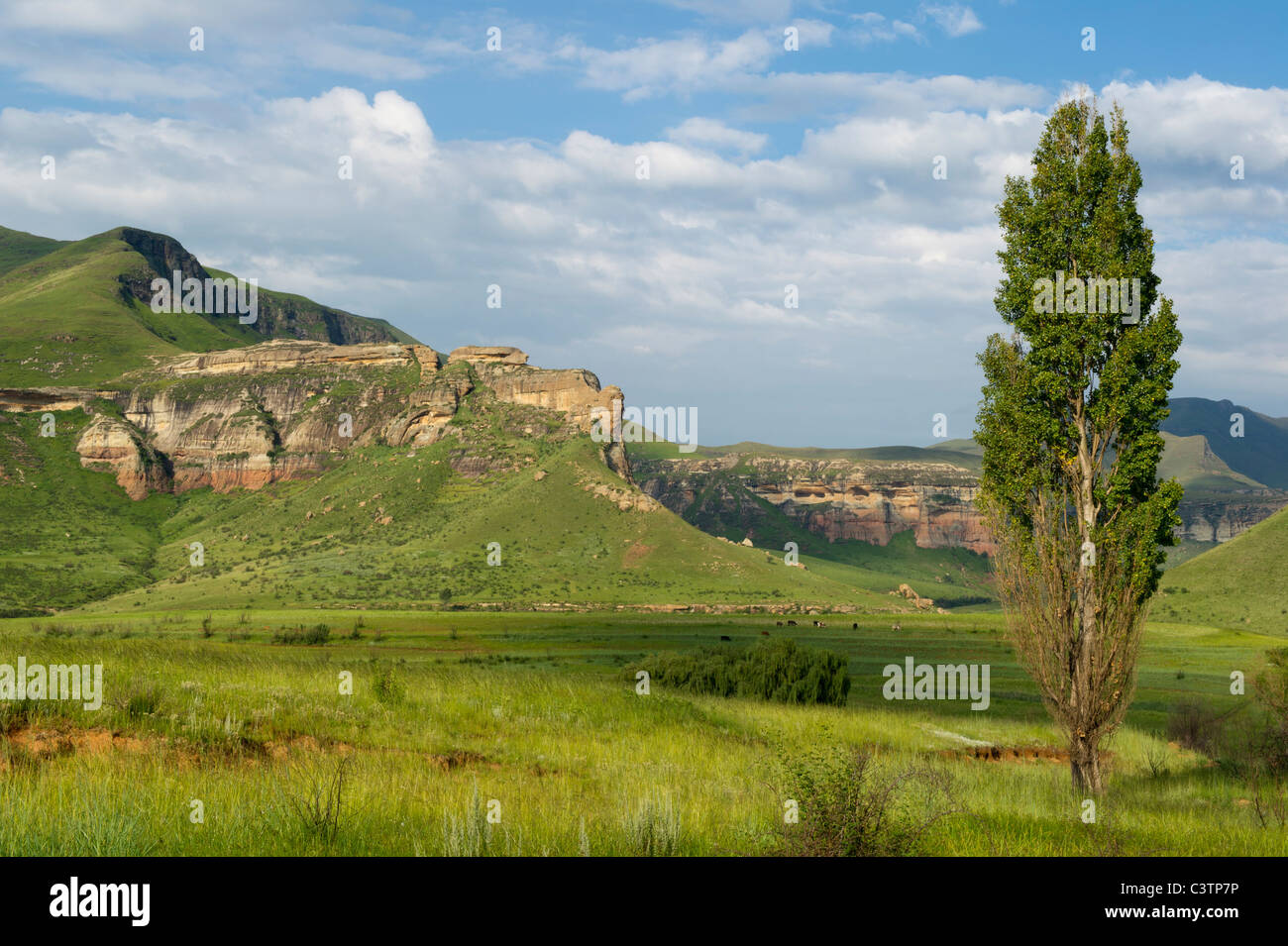 Scenery, Clarens, Free State, South Africa Stock Photo - Alamy