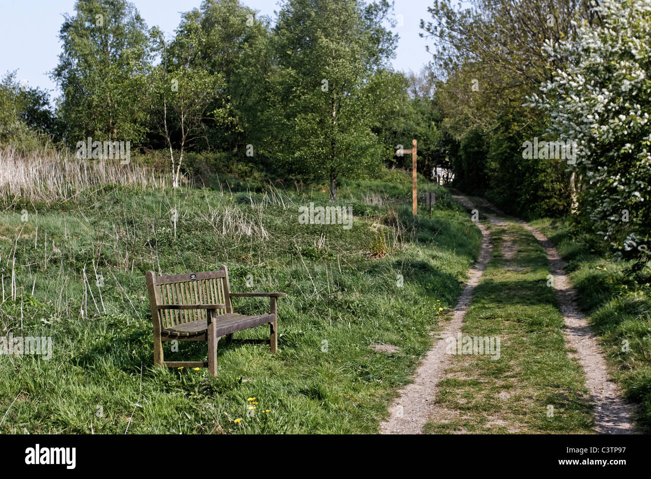 Combe Valley RSPB Reserve, Staffordshire, April 2011 Stock Photo - Alamy