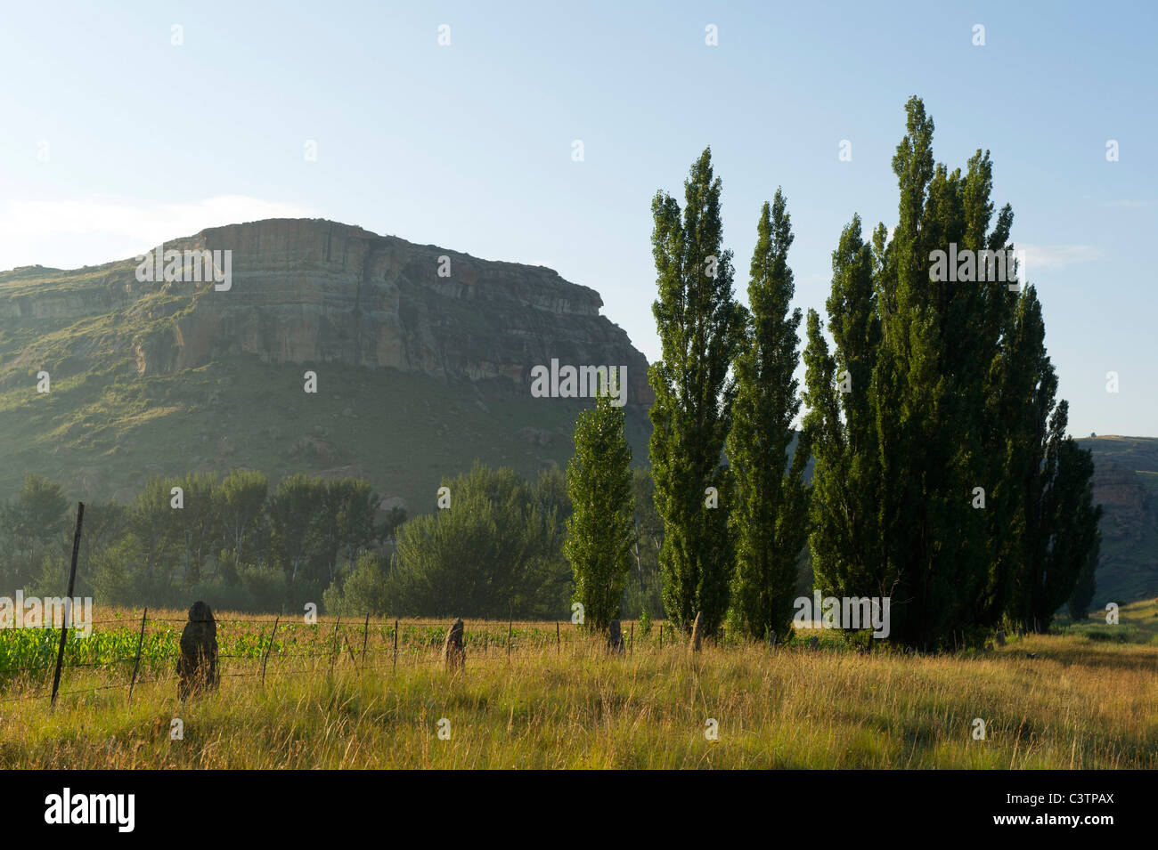 Clarens free state hi-res stock photography and images - Alamy