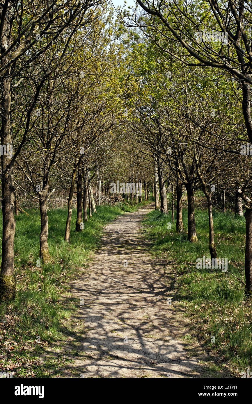 Combe Valley High Resolution Stock Photography and Images - Alamy