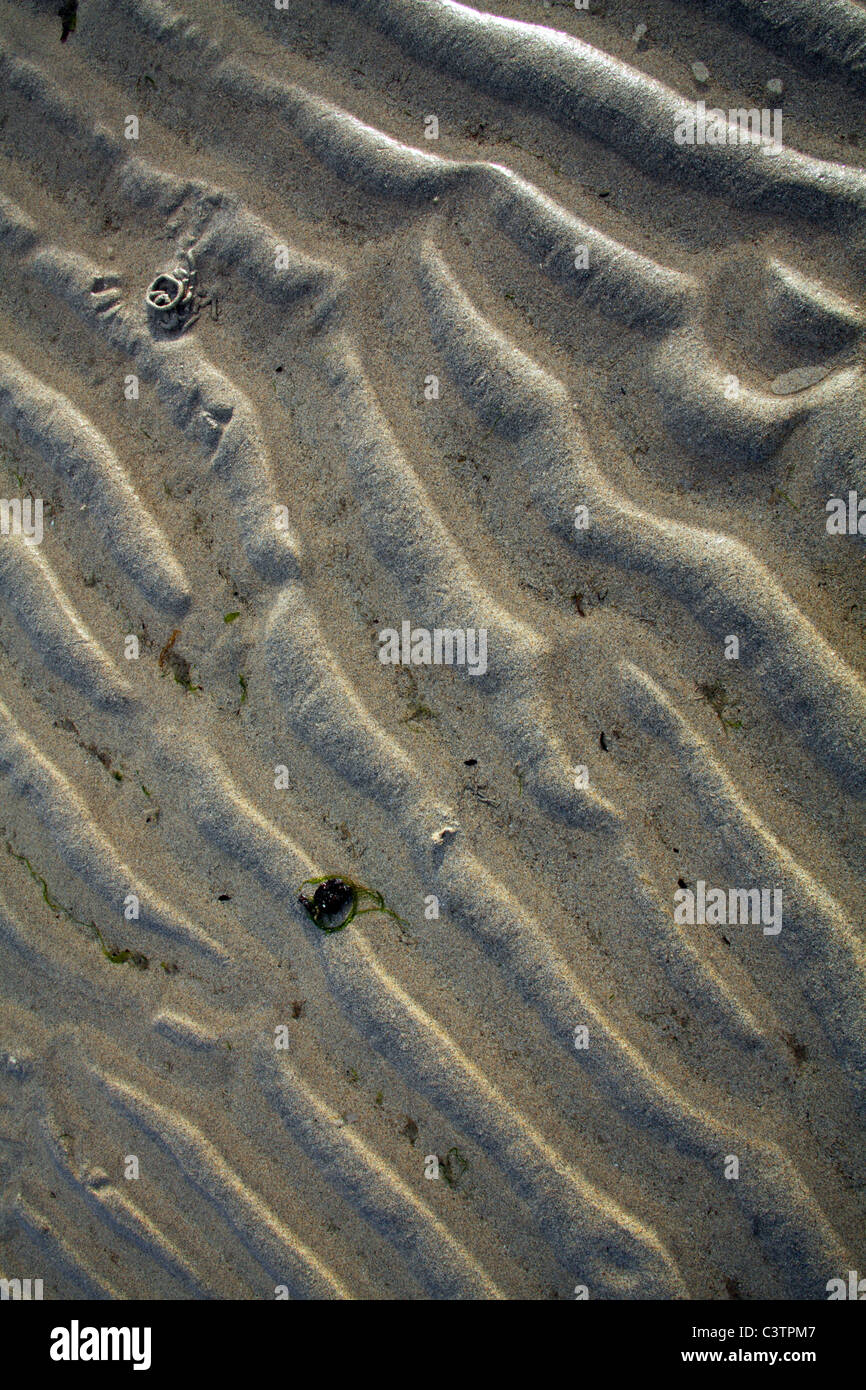 Ripples on a sandy beach at low tide Stock Photo - Alamy
