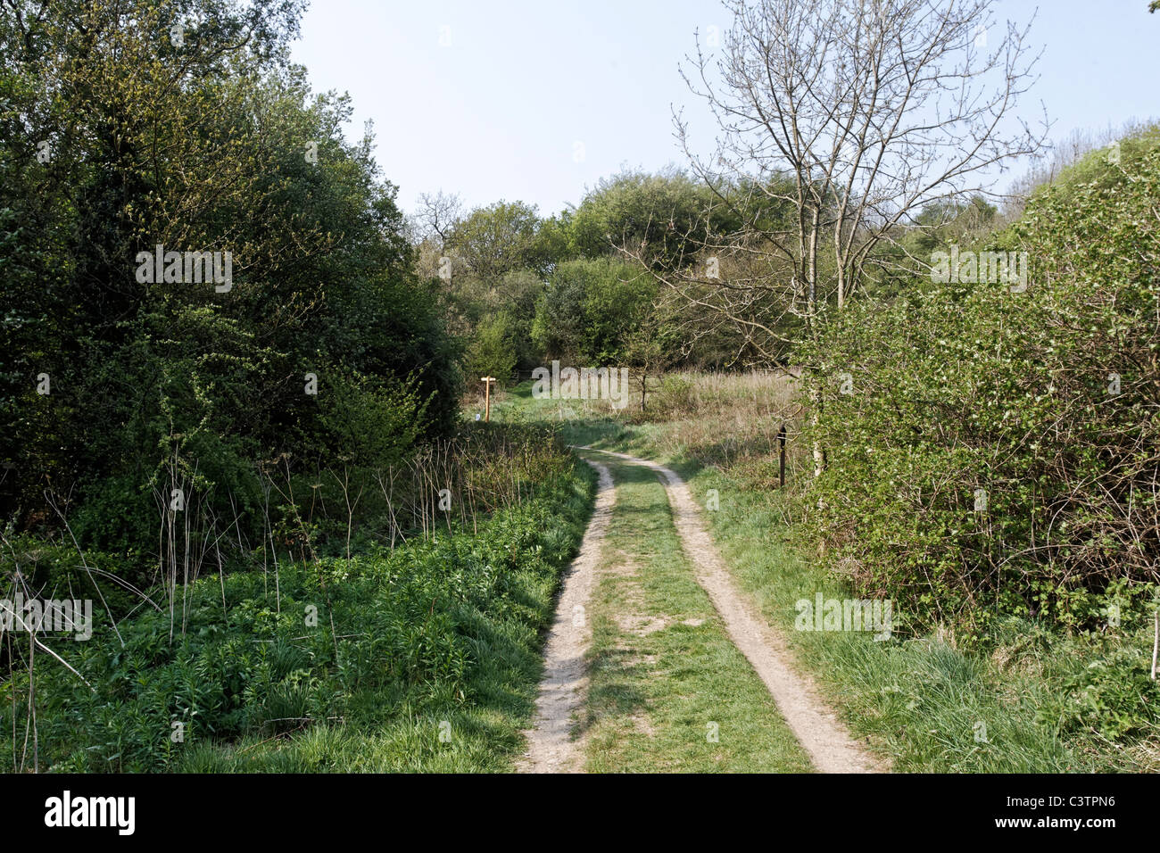Combe Valley RSPB Reserve, Staffordshire, April 2011 Stock Photo - Alamy