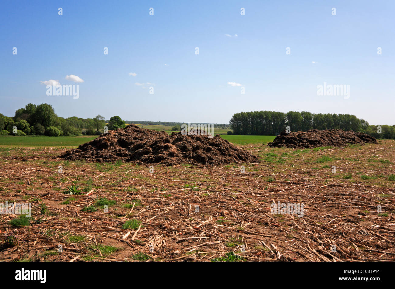 Manure piles hi-res stock photography and images - Alamy