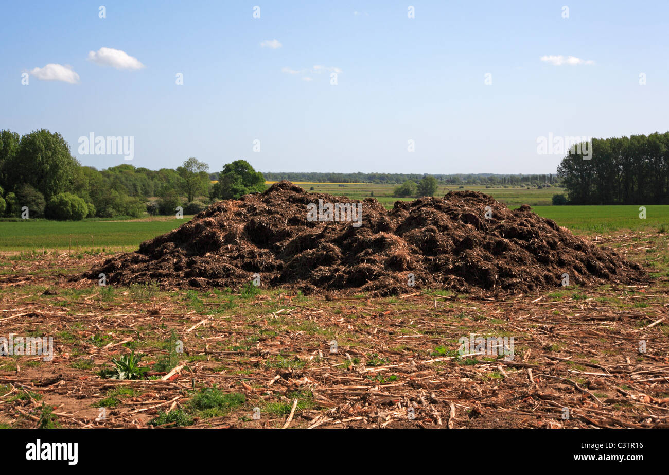 Manure heap hi-res stock photography and images - Alamy