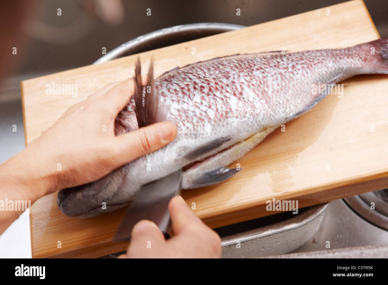 Close up person gutting fish hi-res stock photography and images - Alamy