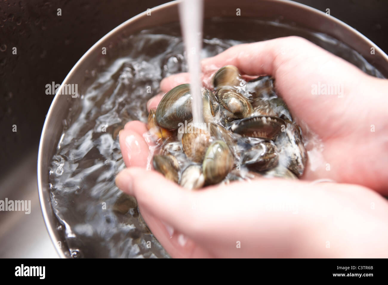 Person Rinsing Short-necked Clams Stock Photo - Alamy