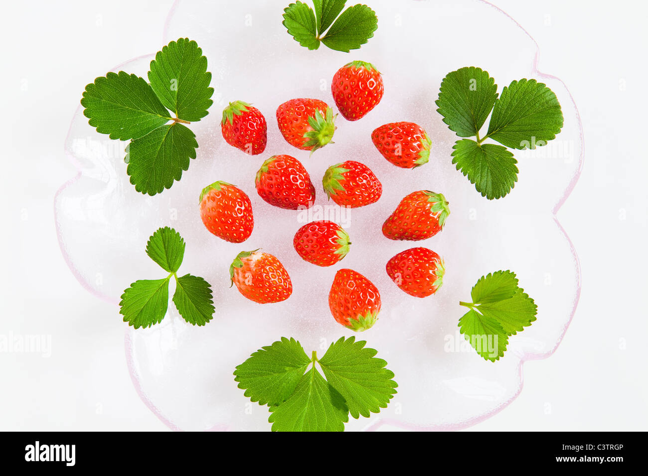 Strawberry Plant Leaves Fruit High Resolution Stock Photography and ...