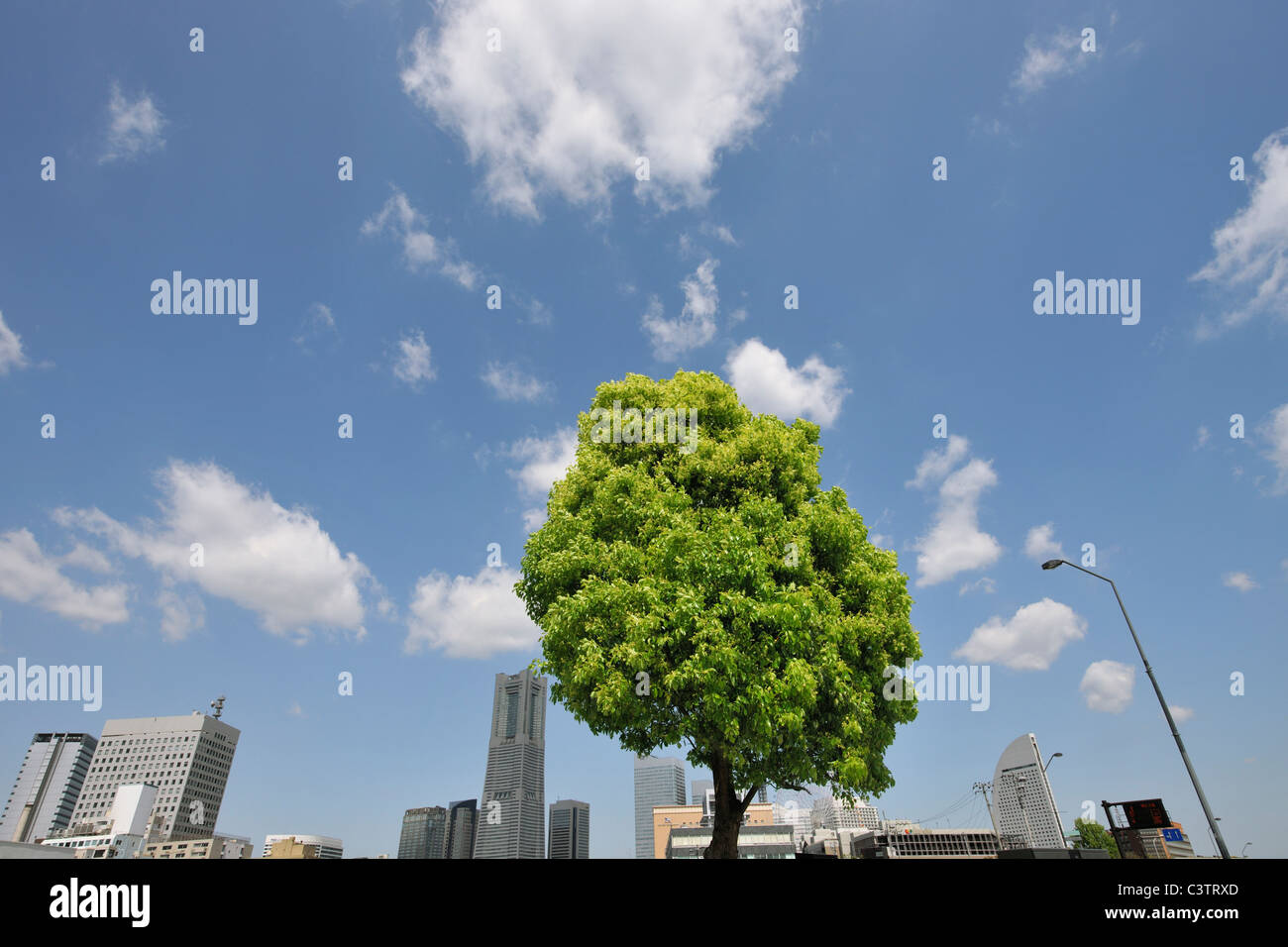 Minato mirai 21 hi-res stock photography and images - Alamy
