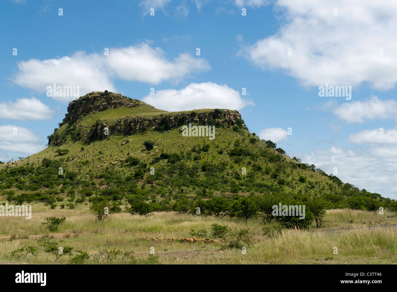 Isandlwana museum hi-res stock photography and images - Alamy