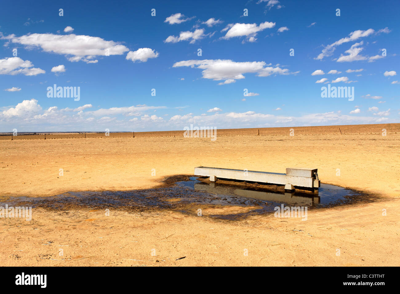 Farm water trough hi-res stock photography and images - Alamy