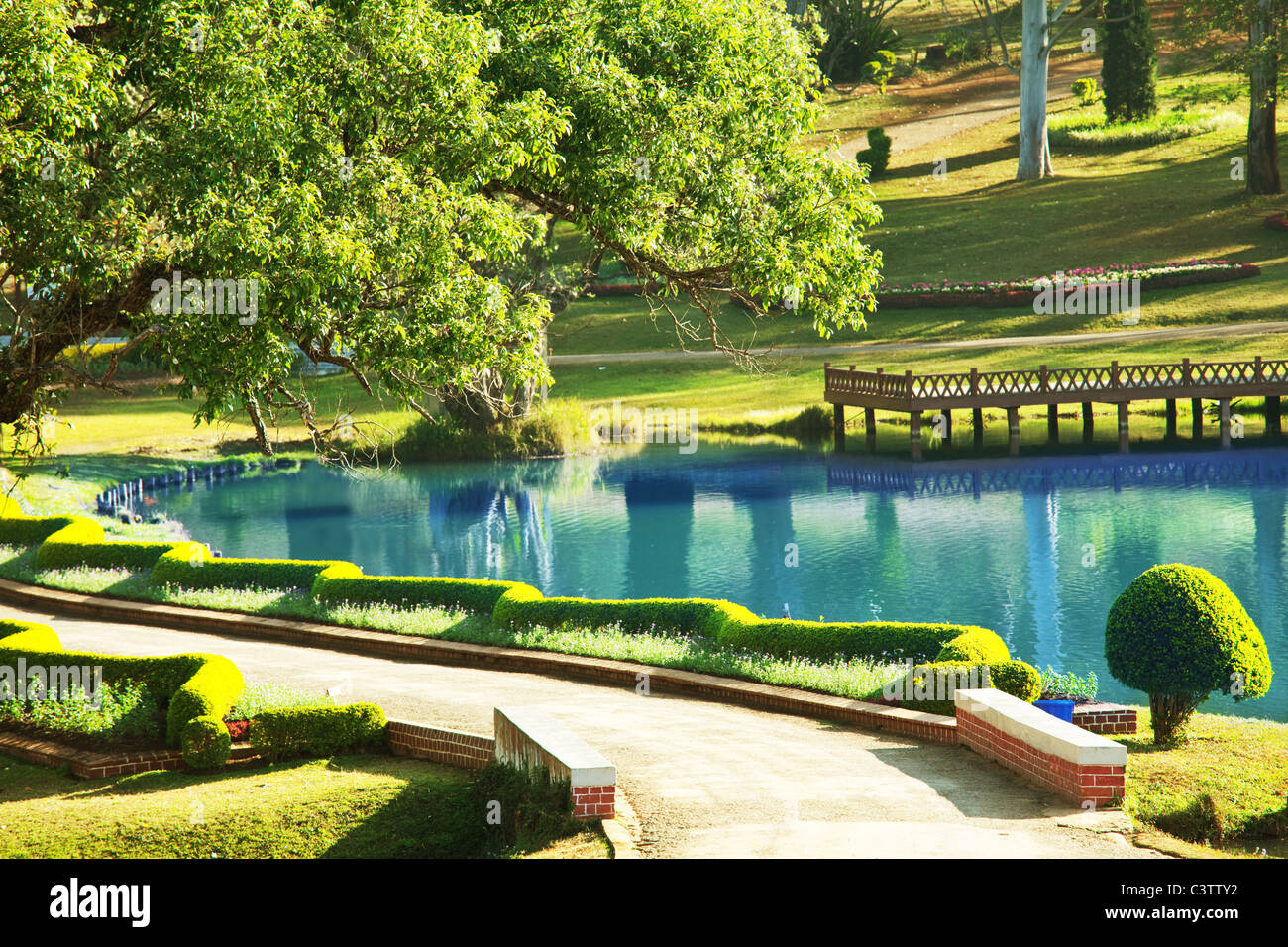 Flora myanmar hi-res stock photography and images - Alamy