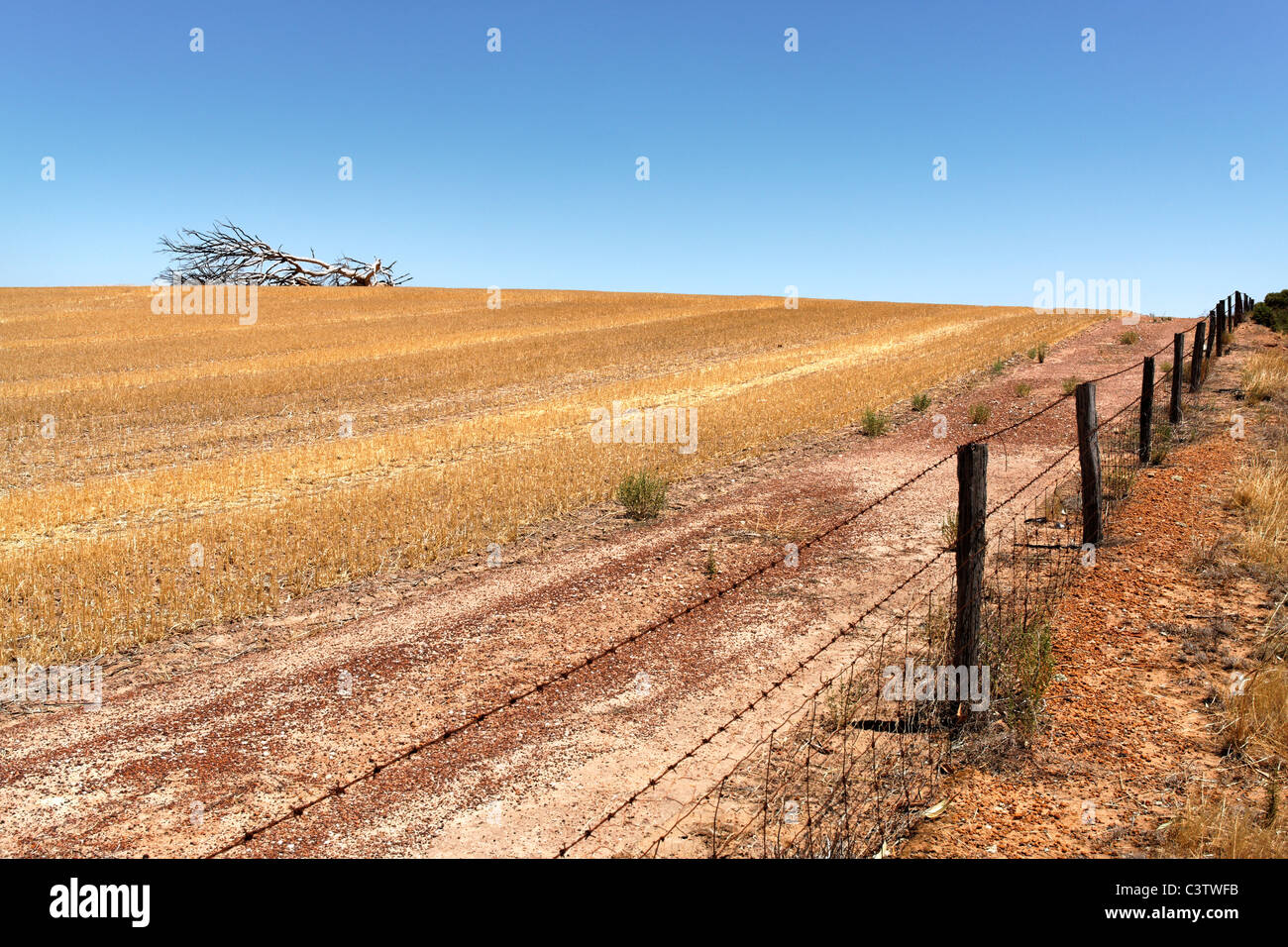 Australian fallen tree hi-res stock photography and images - Alamy