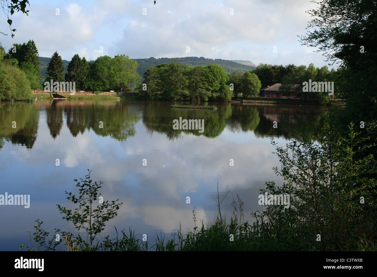 Gnoll country park hi-res stock photography and images - Alamy
