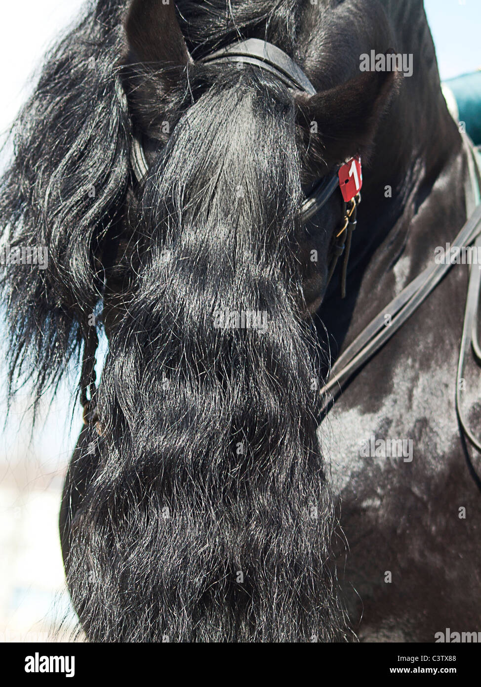 Black forelock hi-res stock photography and images - Alamy